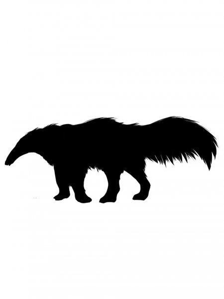 Free printable Anteater stencils and templates