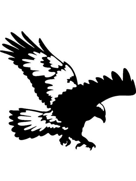 Bald Eagle stencils