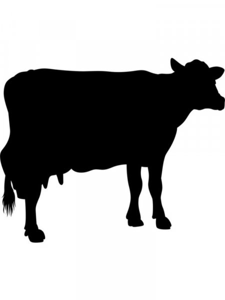 Cow stencils and templates - Free PDF Printables