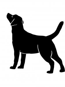 Free printable Labrador stencils and templates