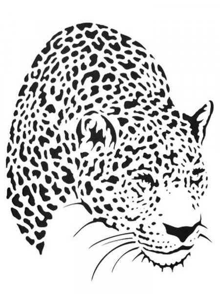 Leopard stencils and templates - Free PDF Printables