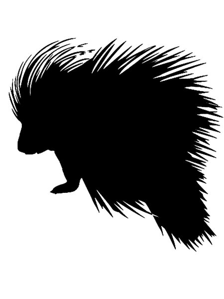 Porcupine stencils