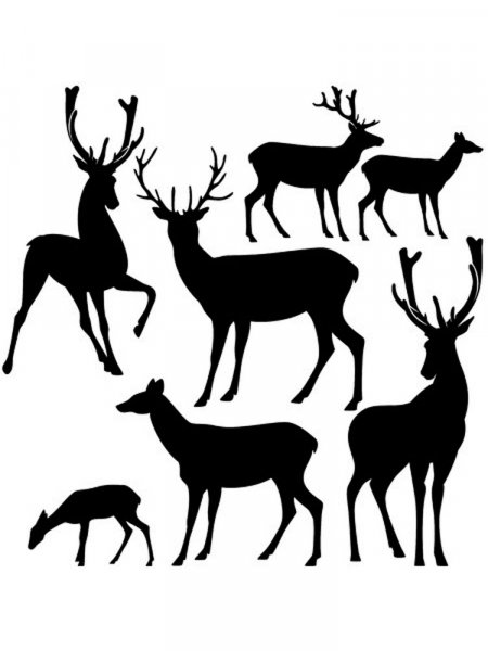 Wild Animal stencils and templates - Free PDF Printables