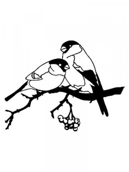 Bullfinche stencils and templates - Free PDF Printables