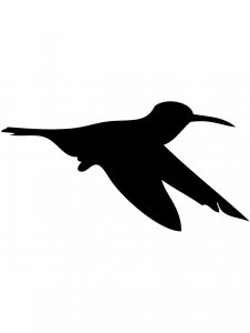 Free printable Hummingbird stencils and templates