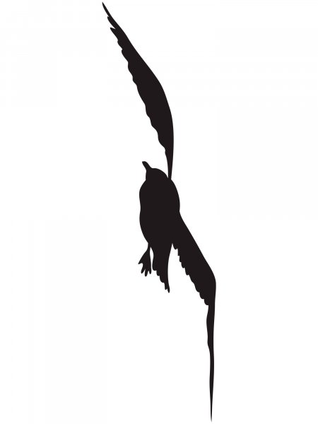 Seagull stencils and templates - Free PDF Printables