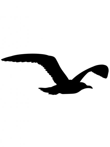 Seagull stencils and templates - Free PDF Printables