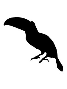 Toucan stencils and templates - Free PDF Printables
