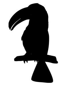 Toucan stencils and templates - Free PDF Printables