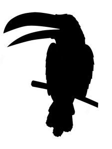 Toucan stencils and templates - Free PDF Printables