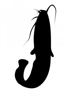 Free printable Catfish stencils and templates