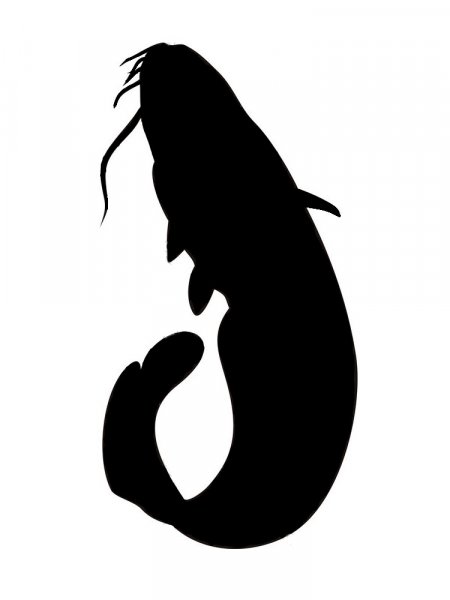 Free printable Catfish stencils and templates