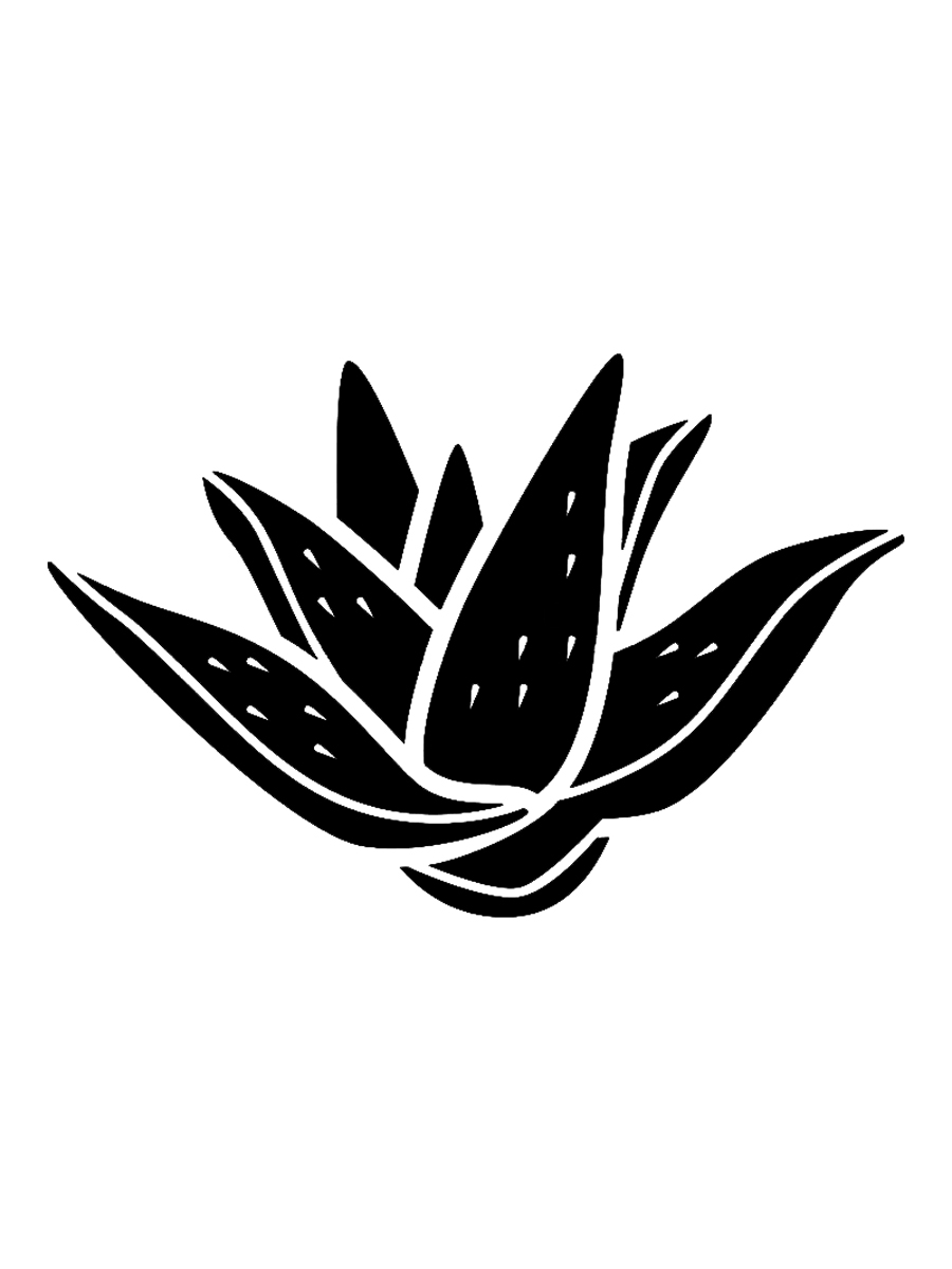 Aloe stencils