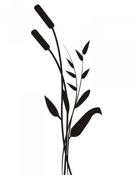 Free printable Bulrush stencils and templates