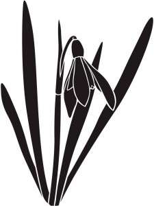 Free printable Snowdrop stencils and templates