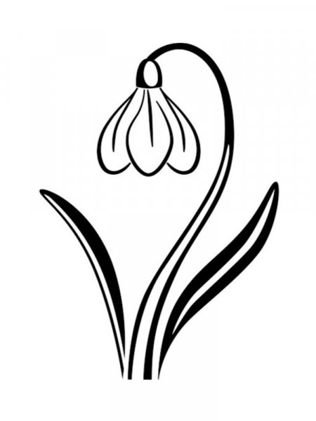 Free printable Snowdrop stencils and templates