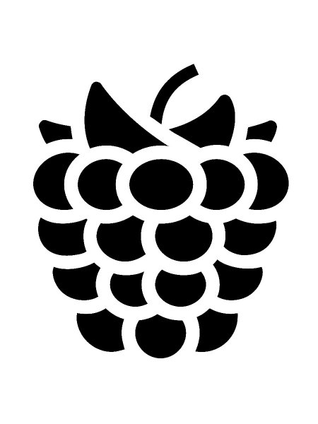 Free printable Raspberry stencils and templates