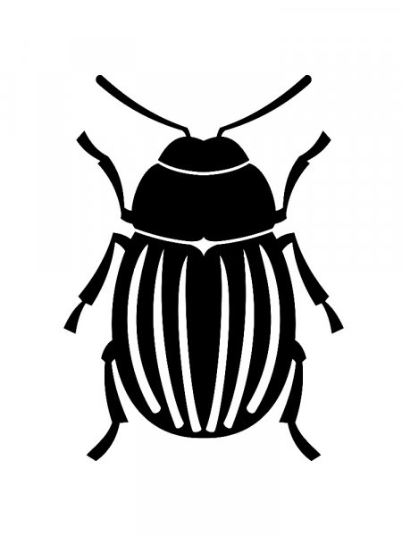 Beetle stencils and templates - Free PDF Printables