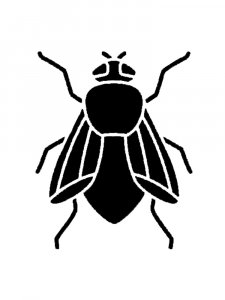 Fly stencils and templates - Free PDF Printables