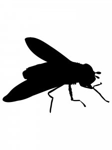 Fly stencils and templates - Free PDF Printables