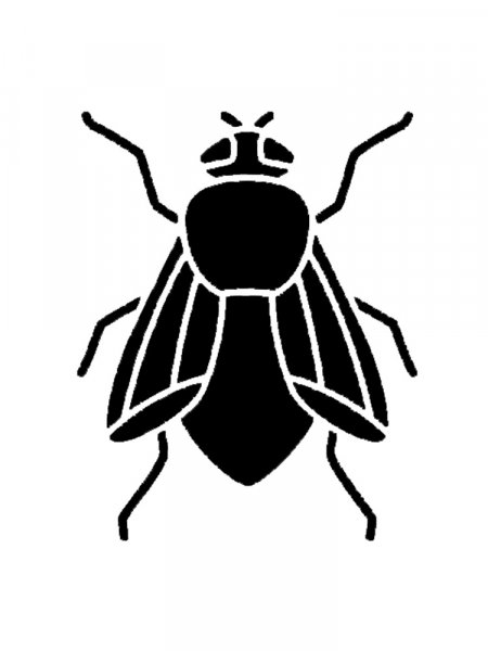 Fly stencils and templates - Free PDF Printables