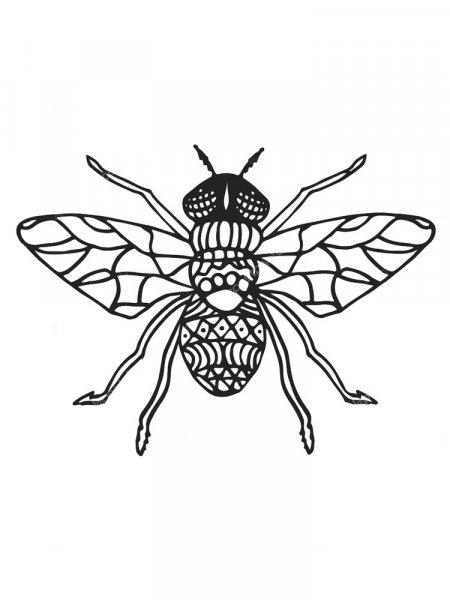 Fly stencils and templates - Free PDF Printables