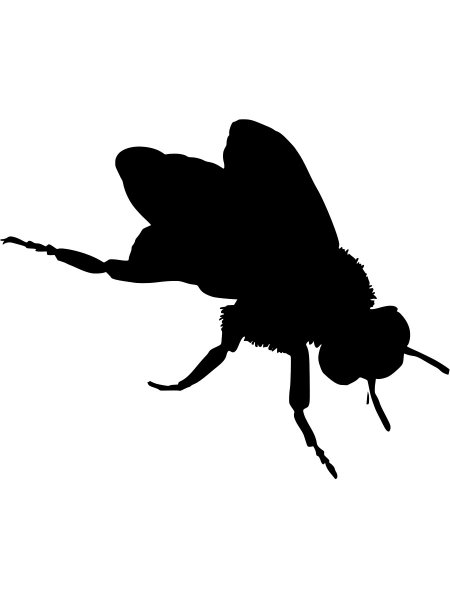 Free printable Fly stencils and templates