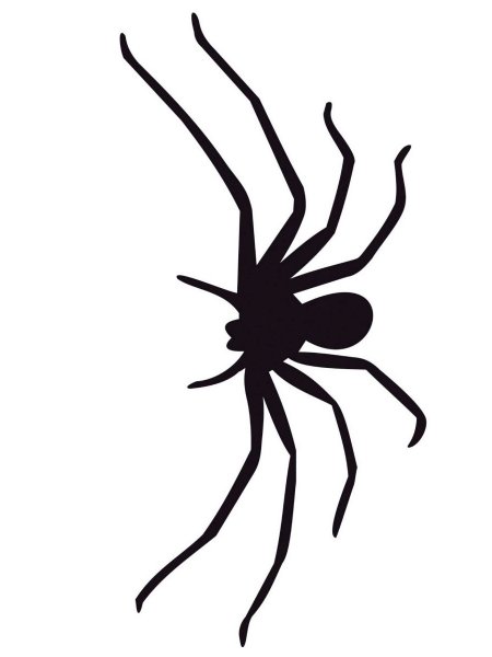 Spider stencils and templates - Free PDF Printables