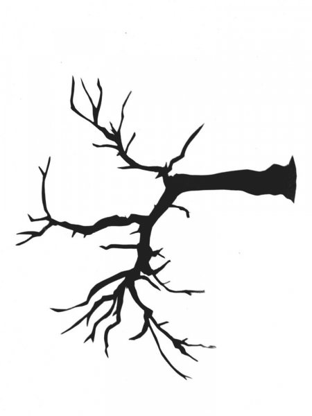 Free printable Tree Without Leaves stencils and templates